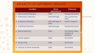 SPLENIC INFARCT, CVC SPLEEN & LUNGS PATHOLOGY PRACTICAL CLASS FOR MBBS ...