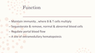 SPLENIC INFARCT, CVC SPLEEN & LUNGS PATHOLOGY PRACTICAL CLASS FOR MBBS ...
