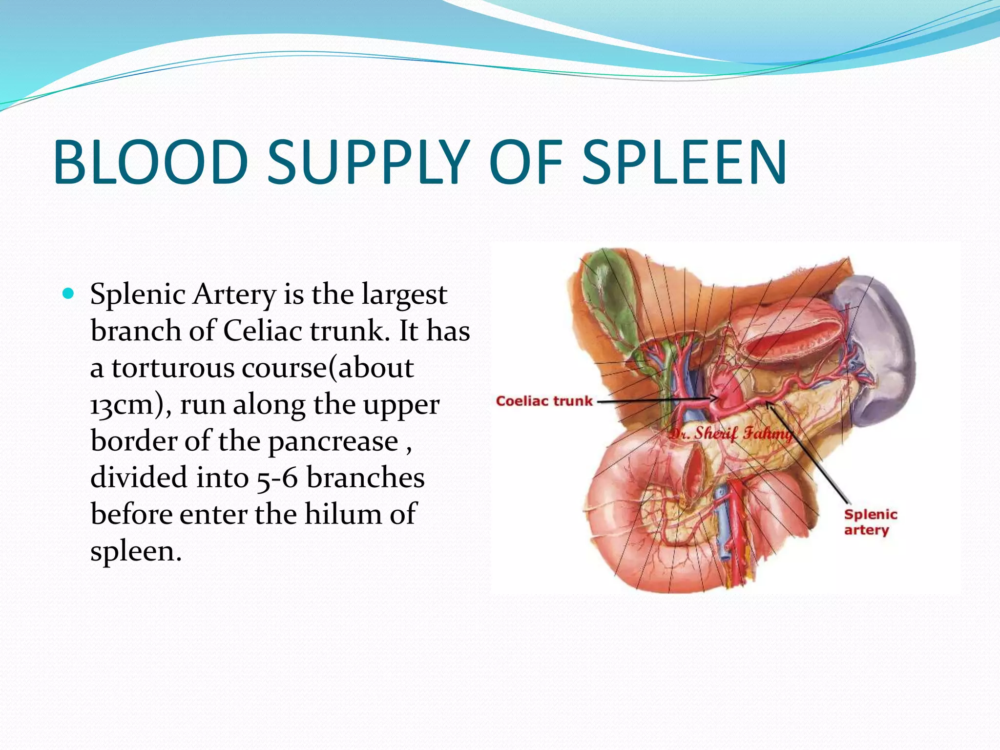 Spleenectomy | PPTX