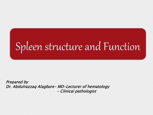 Spleen function and structure.ppt | Blood Disorders | Diseases and ...