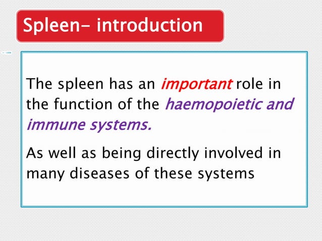 Spleen function and structure.ppt | Blood Disorders | Diseases and ...