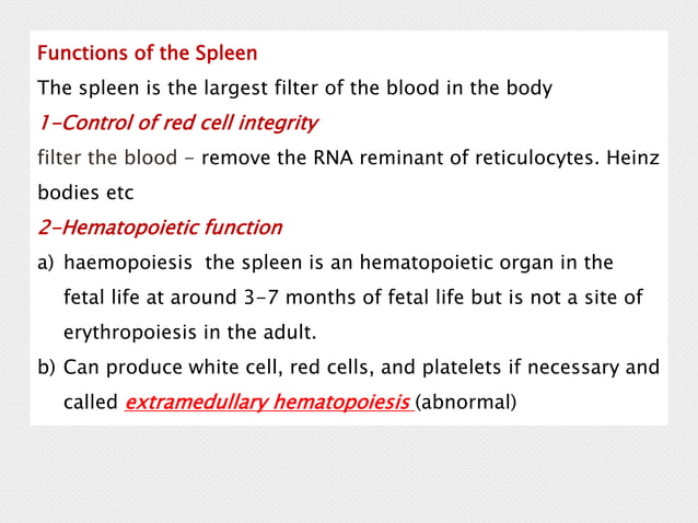 Spleen function and structure.ppt | Blood Disorders | Diseases and ...