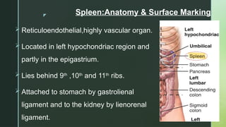 spleen medicine and it's Examination.pptx