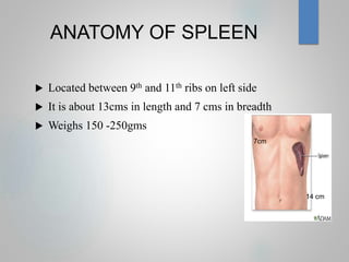 Spleenomegalyhypersplenism 140702034916-phpapp02 | PPT