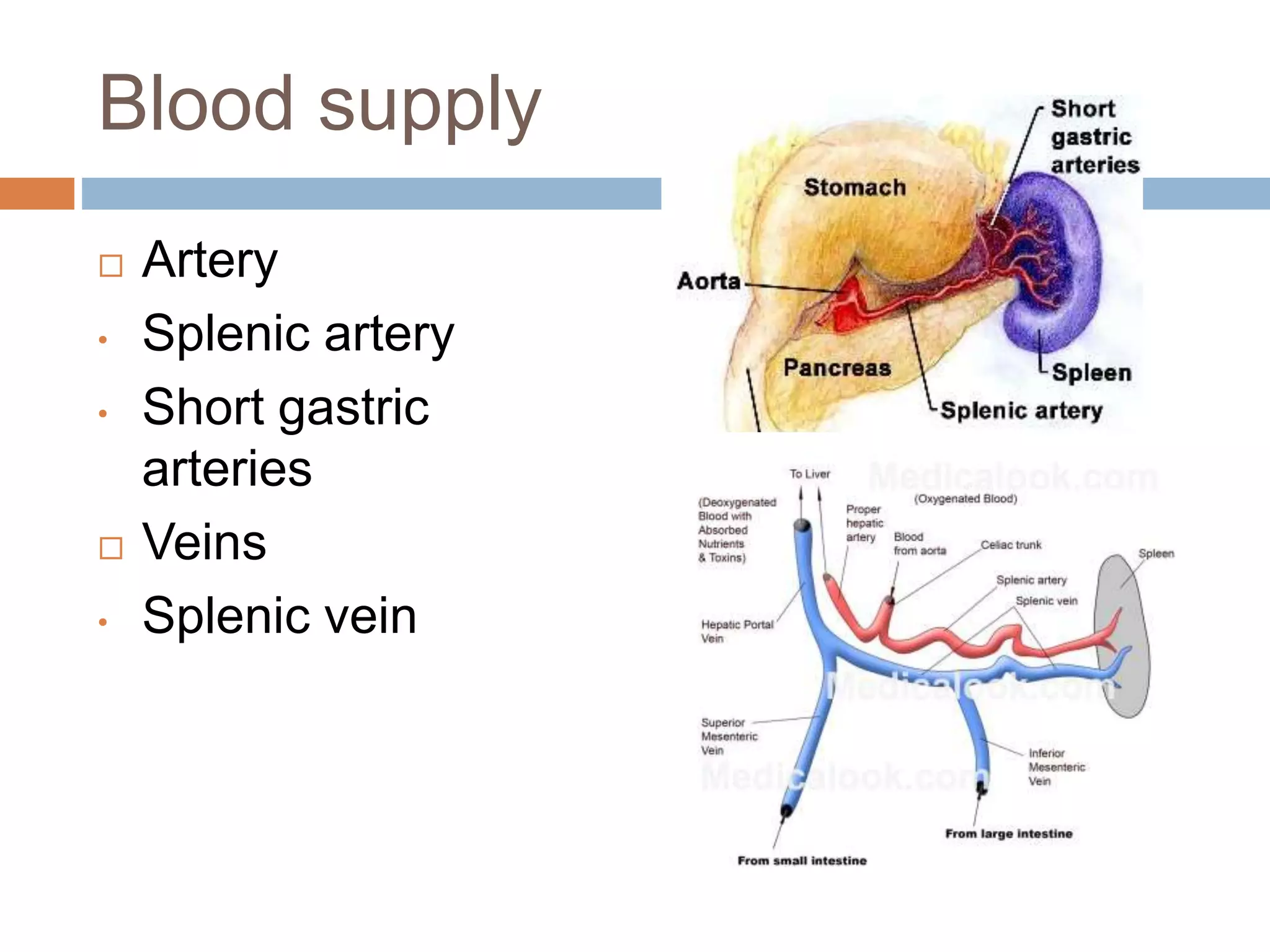 Spleenomegaly & hypersplenism etiology pathogenesis and surgical ...