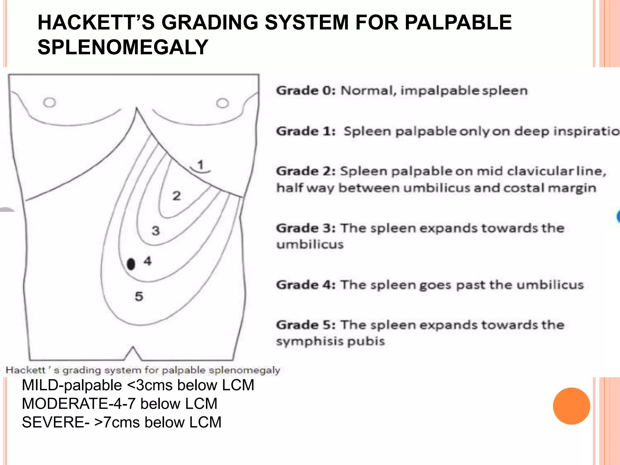 Spleen physiology and surgery | PPT