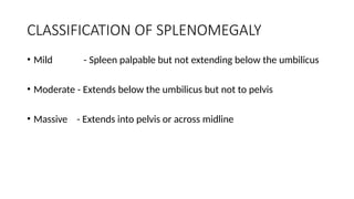 Spleen structure and function,anatomy ppt | PPTX