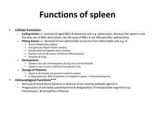 The Spleen : Trauma & Portal Hypertension | PPTX