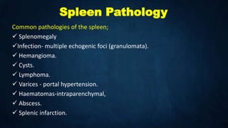 Spleen ultrasound | PPTX