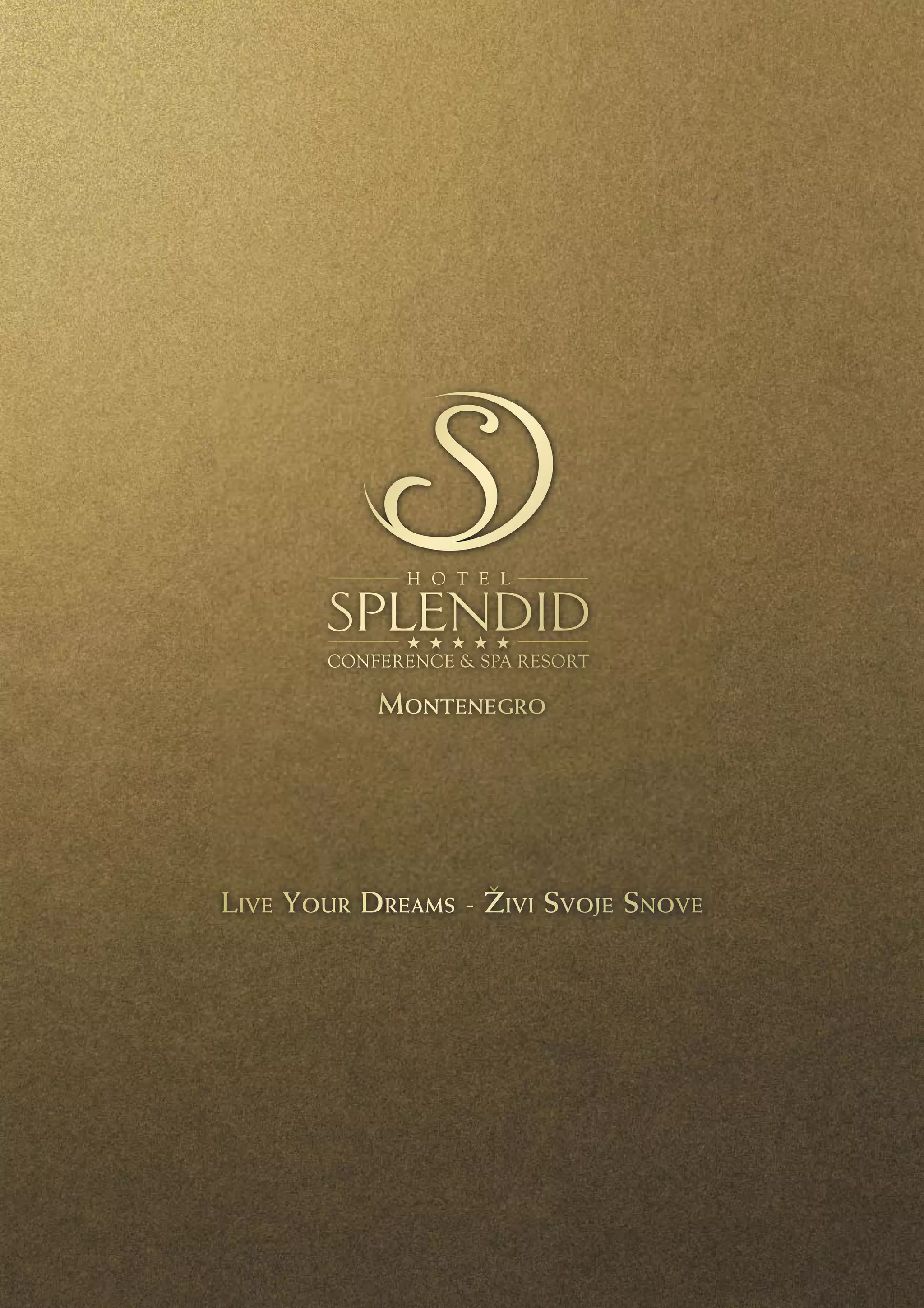 Splendid Hotel presentation | PDF