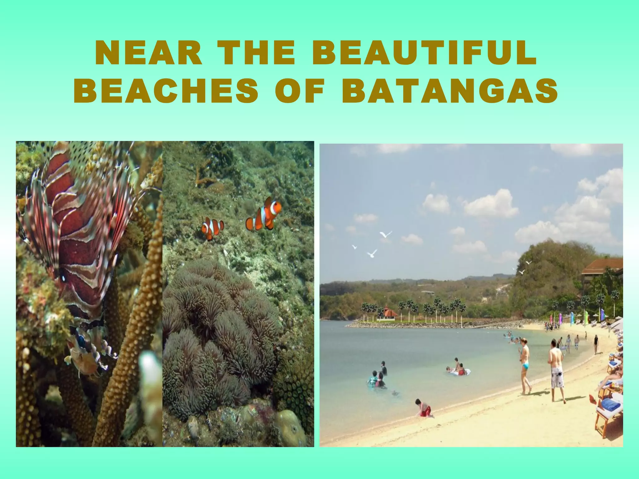 SPLENDIDO TAAL residential Estates, Tower 1& 2, Tagaytay City. | PPT