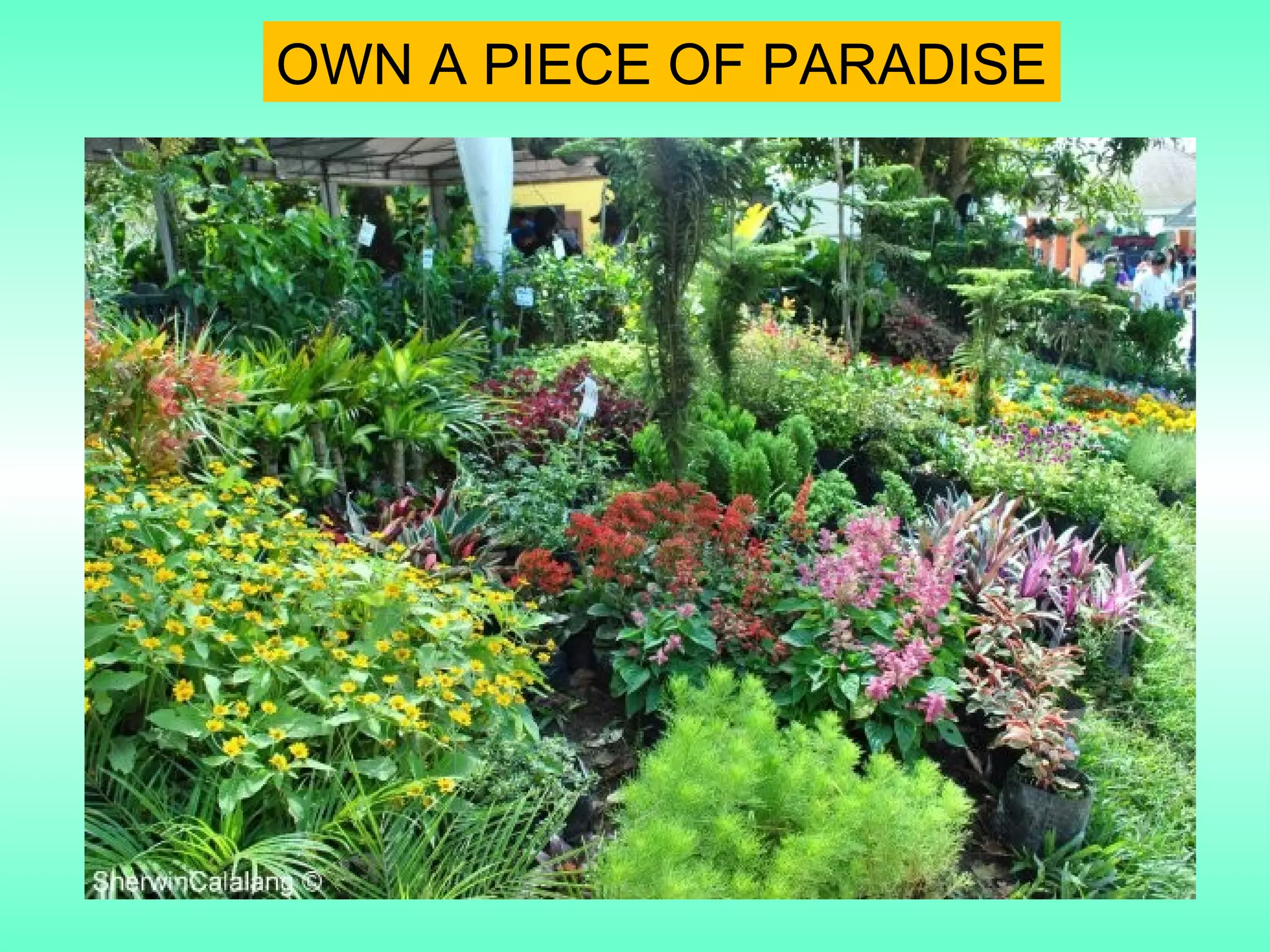 SPLENDIDO TAAL residential Estates, Tower 1& 2, Tagaytay City. | PPT