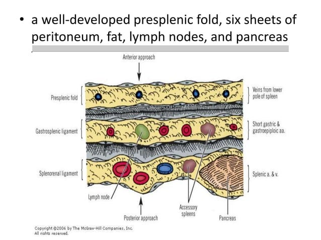 pre and post operative management of paediatric Splenectomy patients | PPT