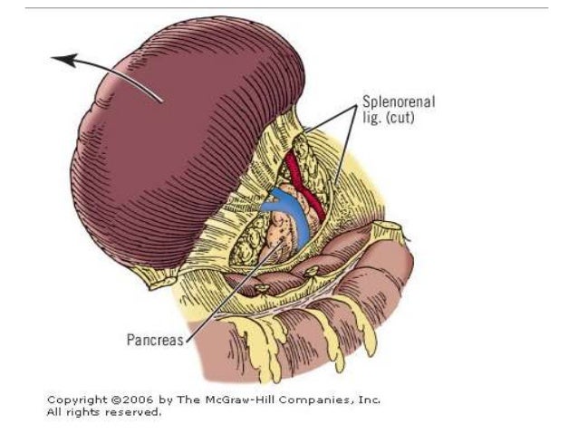 pre and post operative management of paediatric Splenectomy patients