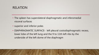 Splenectomy | PPTX