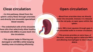 splenic circulation easy explanation.pptx