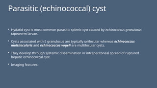 splenic lesions and findings of ct and usg | PPTX
