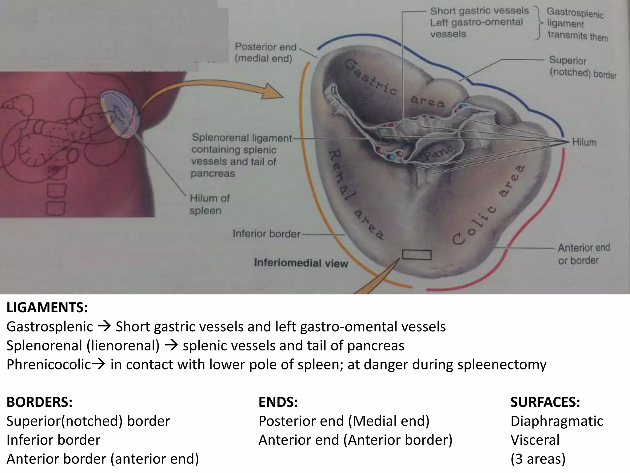 Splenic trauma | PPTX