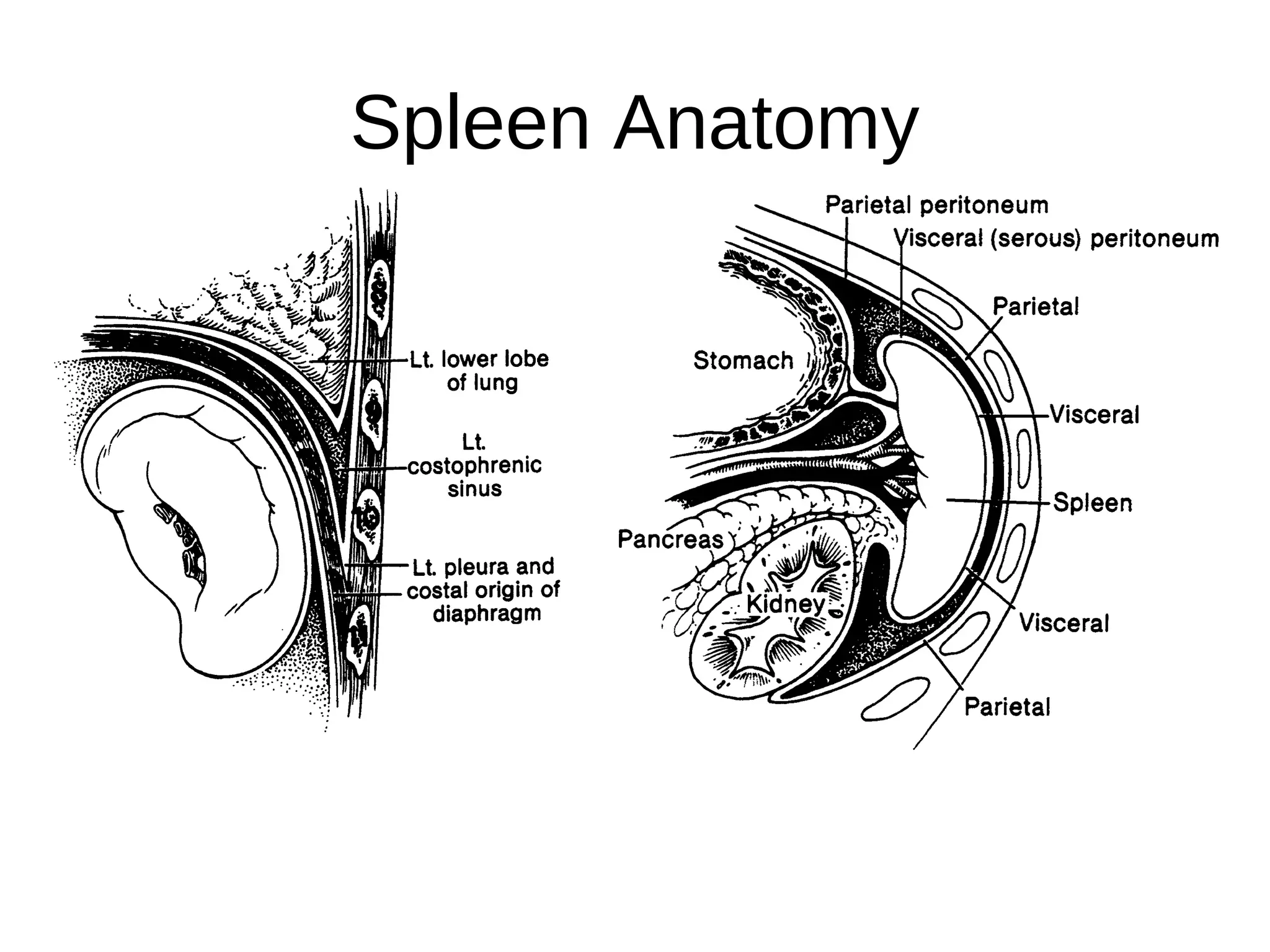 Splenic trauma - Causes, Complications, Management | PDF