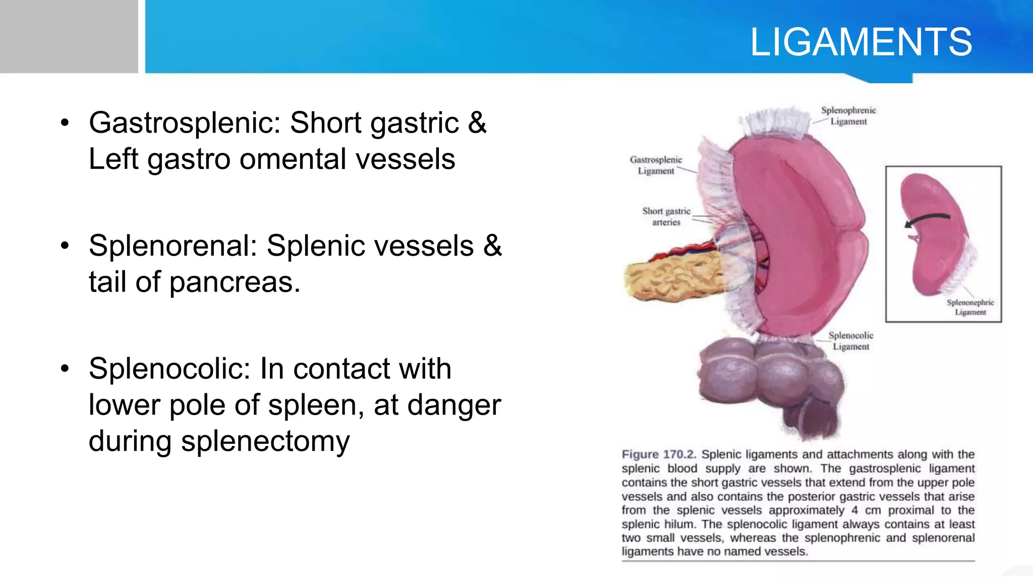 Splenic trauma | PPTX