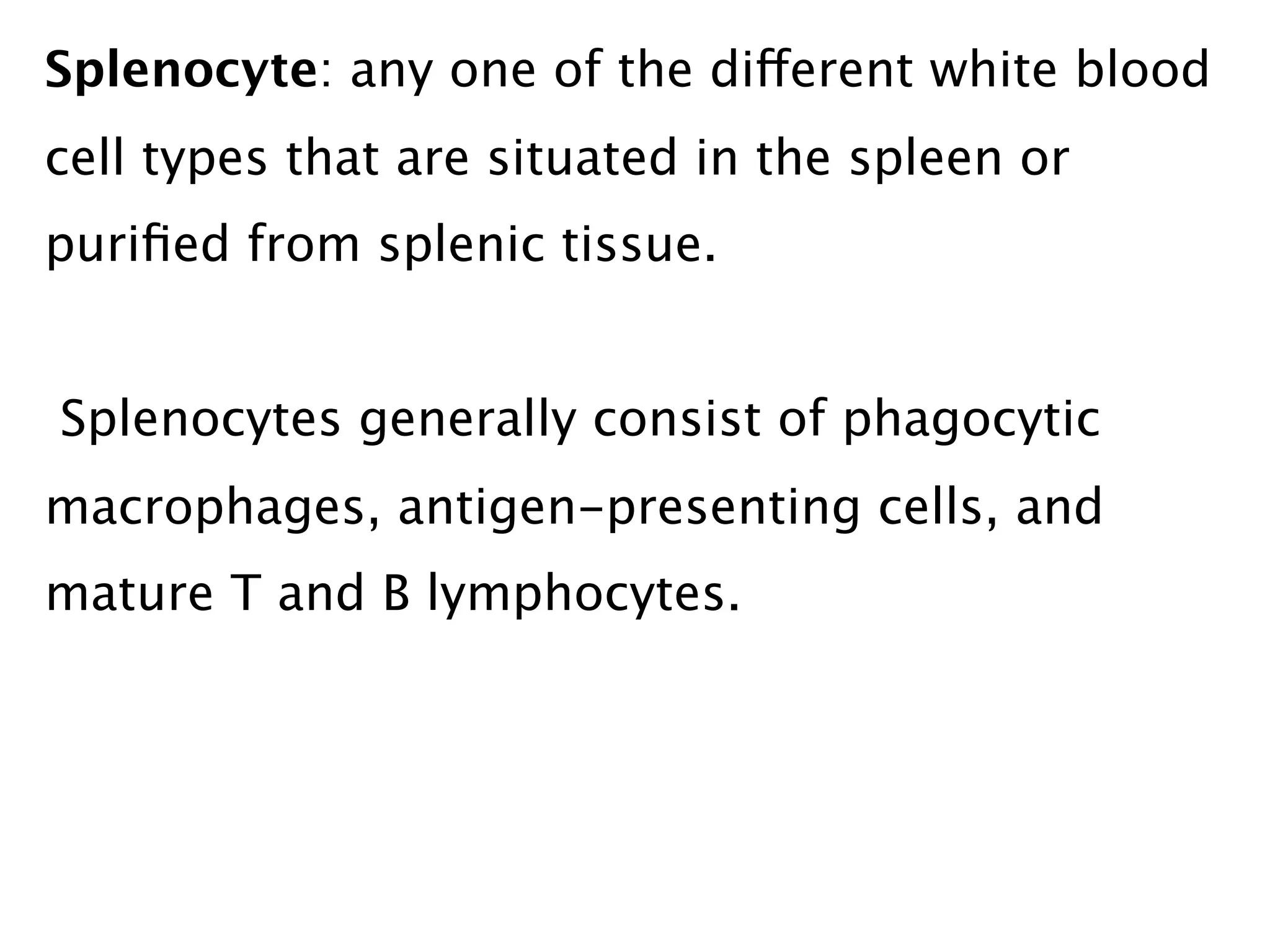Splenocyte isolation | KEY