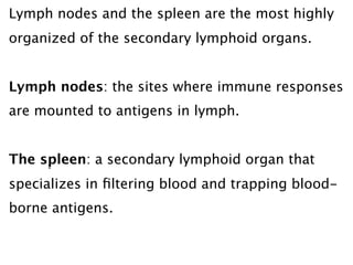 Splenocyte isolation | KEY