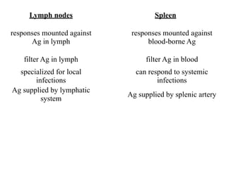 Splenocyte isolation | KEY