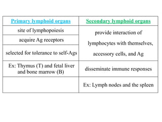 Splenocyte isolation | KEY