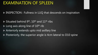 Splenomegaly : causes , clinical approach and examination | PPTX