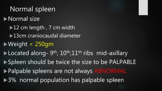 Splenomegaly : causes , clinical approach and examination | PPTX