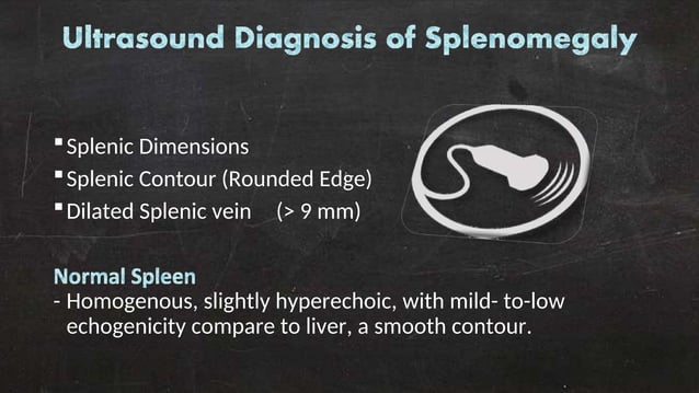 splenomegaly radiology -180319023541.ppt