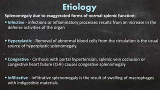 Splenomegaly | PPTX
