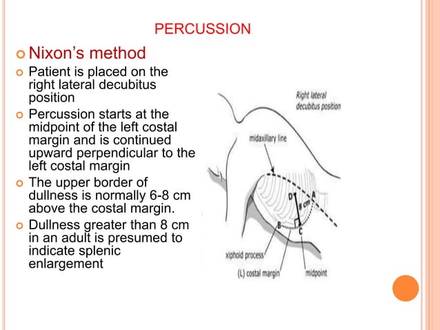 SPLEEN ANATOMY,FUNCTIONS,EXAMINATION & APPROACH TO SPLENOMEGALY | PPTX ...