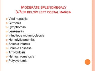 SPLEEN ANATOMY,FUNCTIONS,EXAMINATION & APPROACH TO SPLENOMEGALY | PPTX