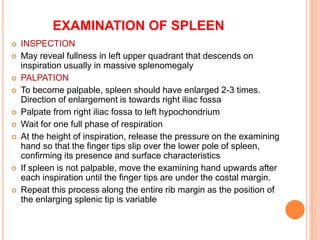 SPLEEN ANATOMY,FUNCTIONS,EXAMINATION & APPROACH TO SPLENOMEGALY | PPTX | Blood Disorders ...