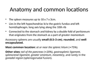 SPLENUNCULI (anatomy, physiology, pathology and management) | PPTX