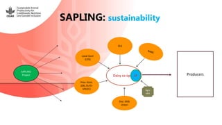 Introduction to the SAPLING Initiative in Nepal | PPTX