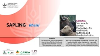 Introduction to the SAPLING Initiative in Nepal | PPTX