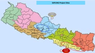 Introduction to the SAPLING Initiative in Nepal | PPTX