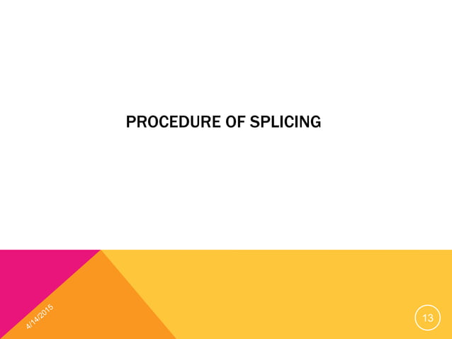 Splice | PPT