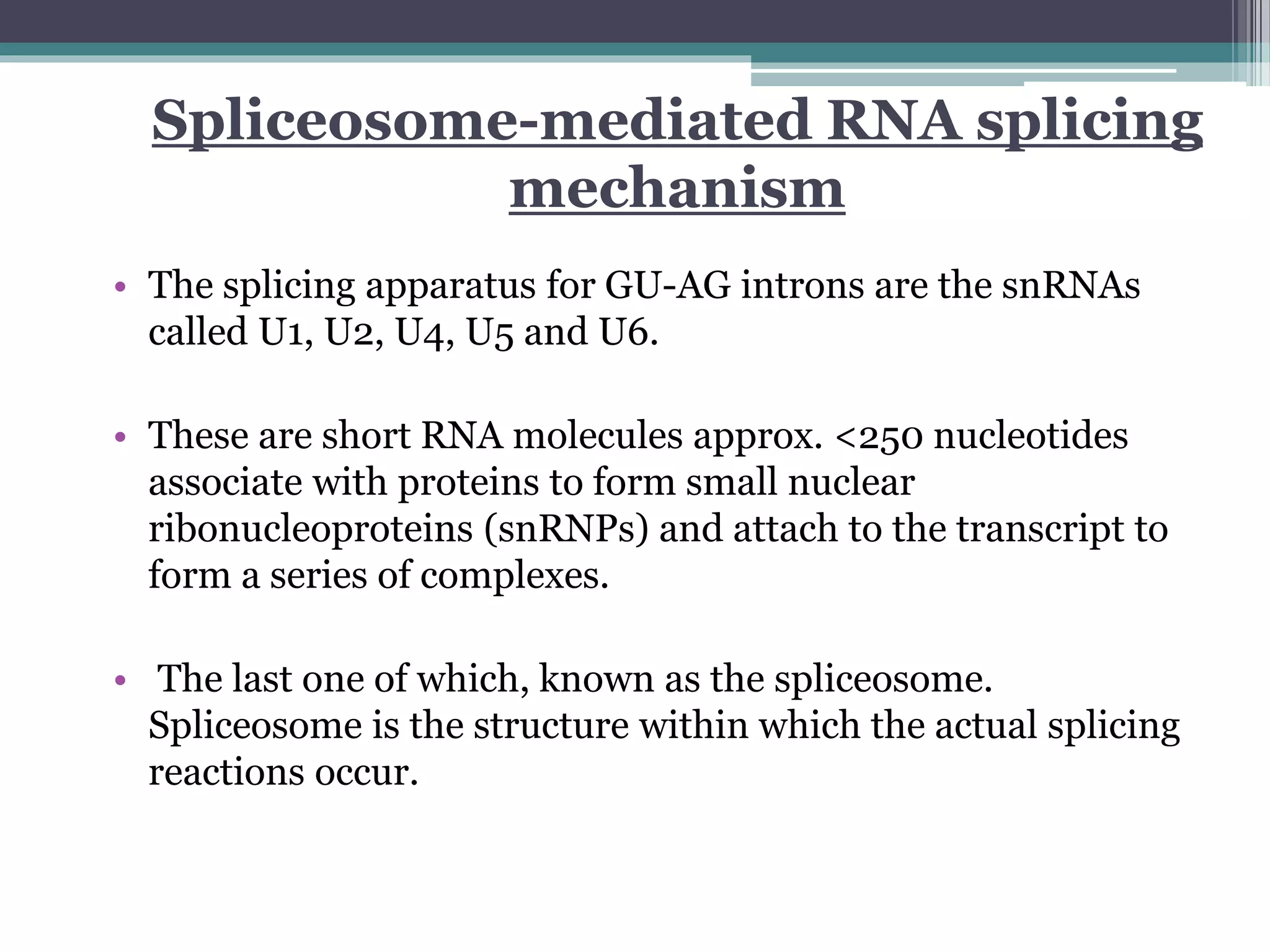 Spliceosome | PPTX