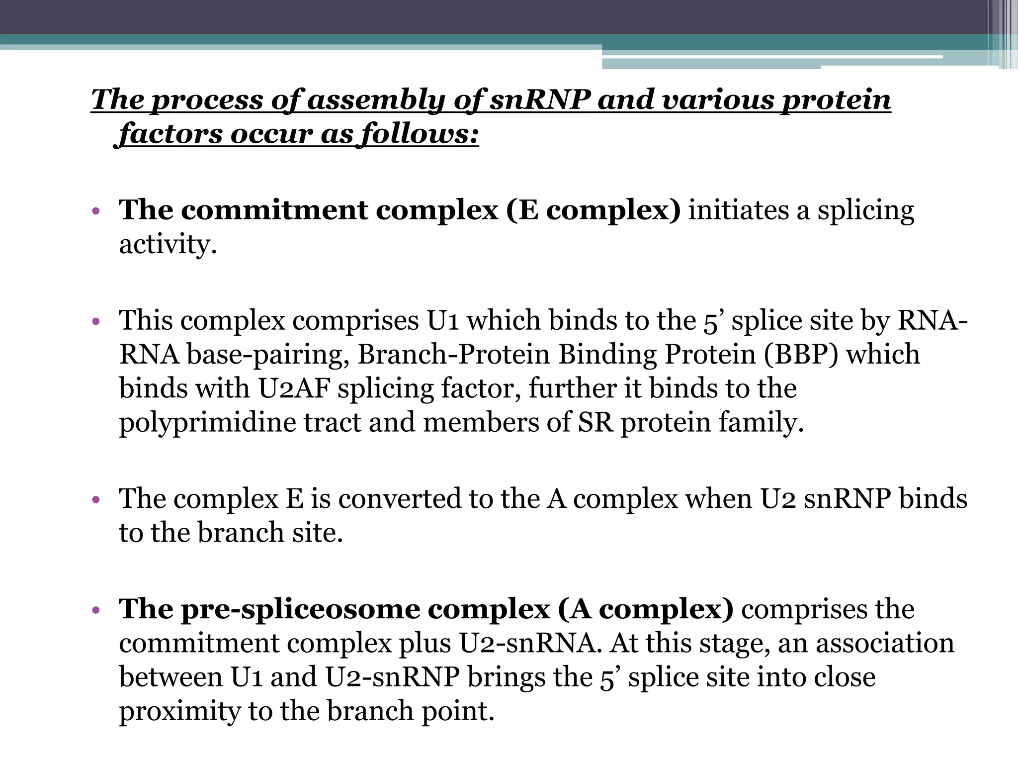 Spliceosome | PPTX