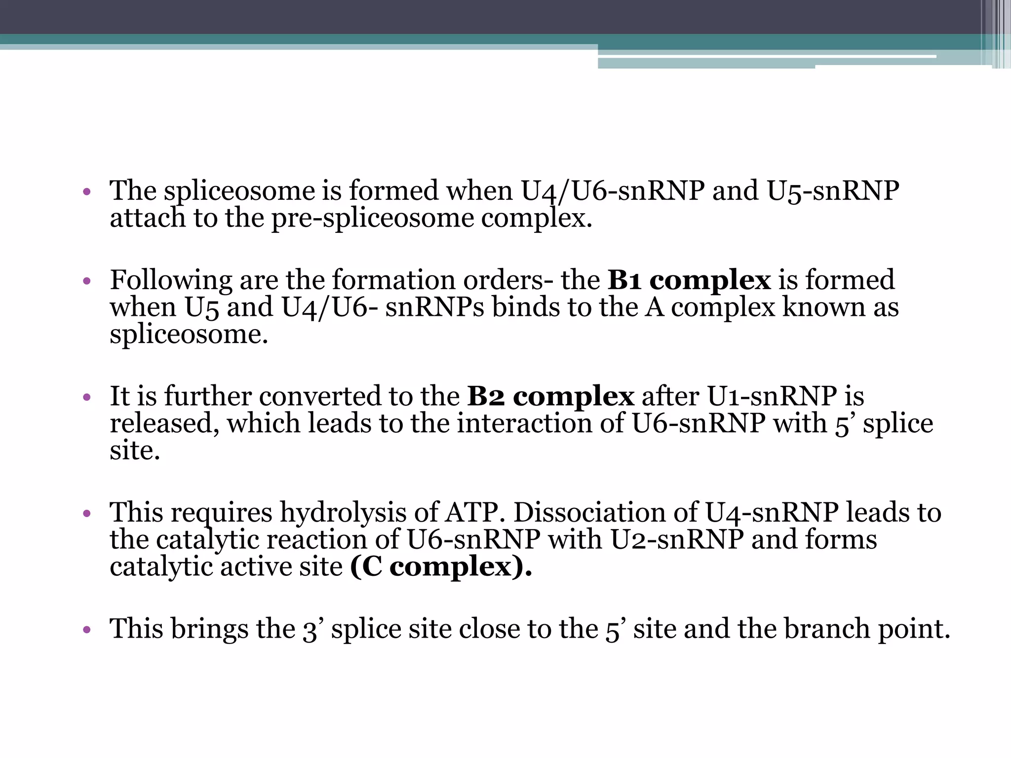 Spliceosome | PPTX