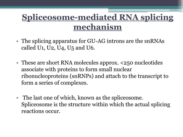 Spliceosome | PPTX