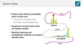Splice Site Algorithms for Clinical Genomics | PPTX