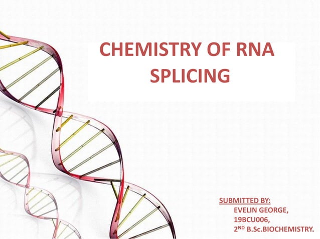 RNA Splicing | PDF | Programming Languages | Computing