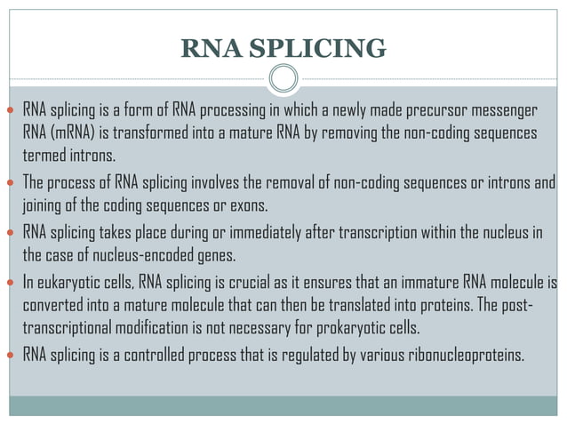 RNA Splicing | PDF | Programming Languages | Computing