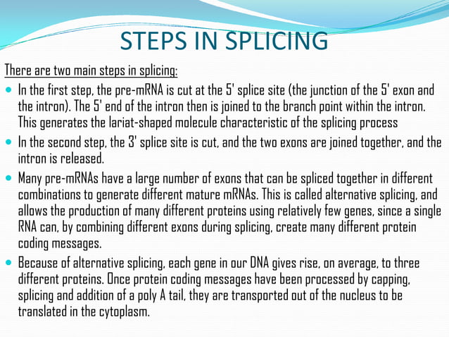 RNA Splicing | PDF | Programming Languages | Computing