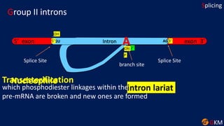 Splicing | PPT