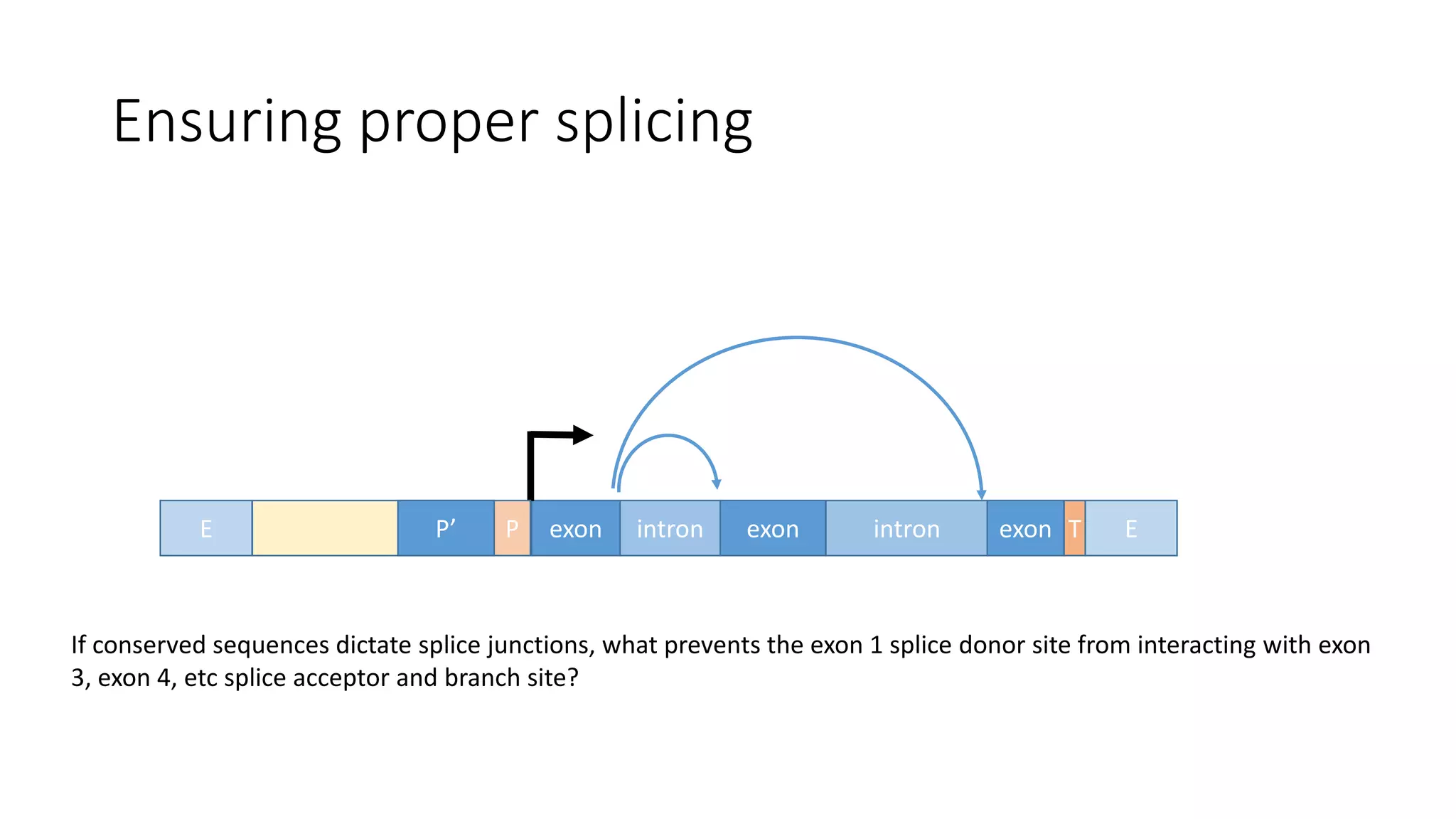 Splicing Regulation.pdf